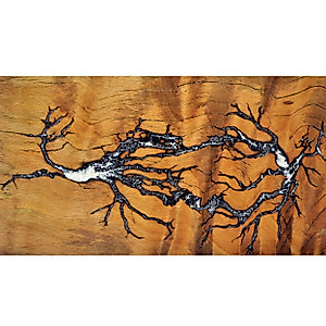 Crushed mother-of-pearl Inlay Supplies for Woodworkers, Turners, Casters, Luthiers, Professionals and Hobbyists - Flake, 1 oz.