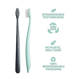 The Natural Family Co. Bio Toothbrush, Soft Nylon Bristles with Non GMO Cornstarch Handles, Plastic Free Packaging and Rivermint and Monsoon Mist Twin Pack