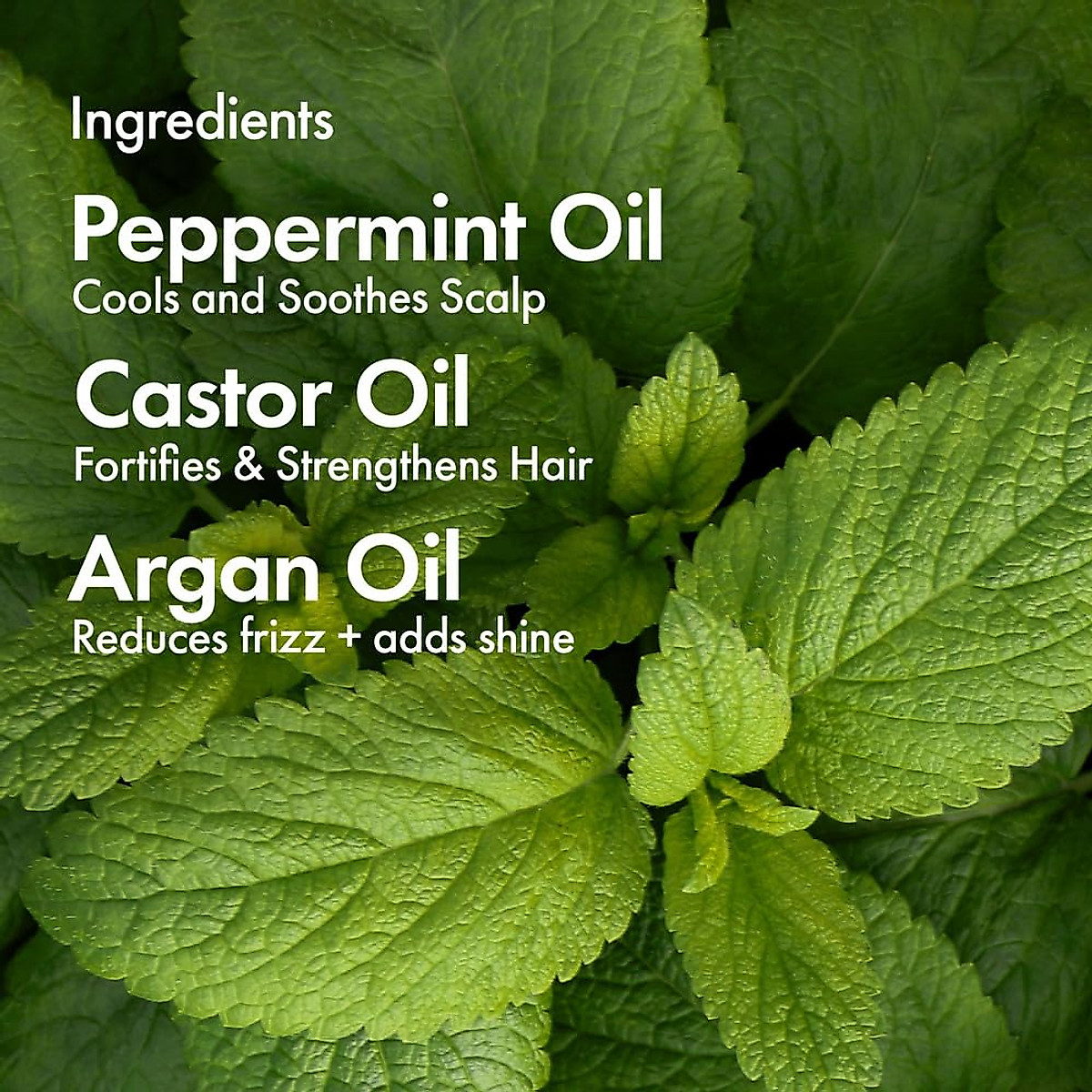 BONDIBOOST Elixir Hair Oil 4.23 fl oz - Pre-Shampoo Hair Oil Treatment for Dry Hair - Calm Frizz + Smooth Split-Ends + Tame Flyaways - Lightweight Formula - Vegan/Cruelty-Free - Australian Made