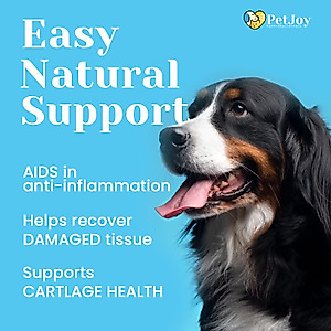PetJoy - Move Joint Health Supplement | Maximum Strength Joint Support Plus MSM, Glucosamine, Chondroitin | Aging, Hip Dysplasia, & Arthritis Relief | Restore Hip and Joint Tissue | 60 Count Soft Chew
