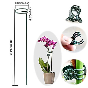 SUNYAY 12 inch Green Plant Support Stakes Metal Garden Stakes Flower Support Stakes and Rings for Amaryllis Orchid Lily Sunflower Rose Narcissus 10 pcs