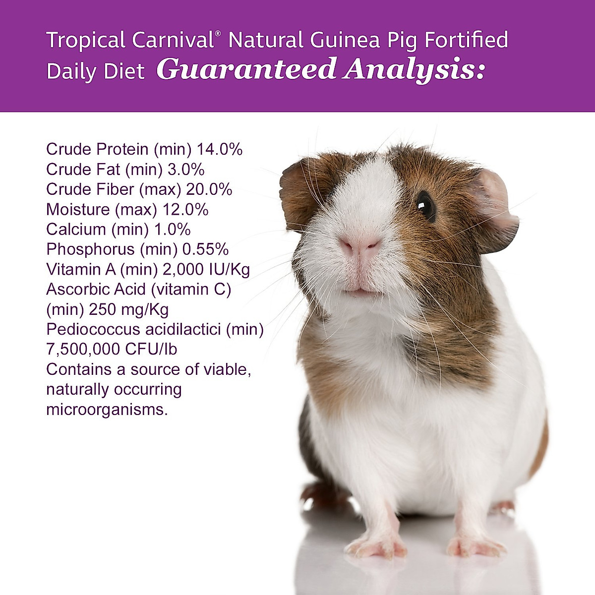 F.M. Brown's Tropical Carnival, Natural Guinea Pig Food, Vitamin-Nutrient Fortified Daily Diet with Vitamin C and High Fiber Alfalfa and Timothy Hay Pellets for Optimum Digestion, 4 lb