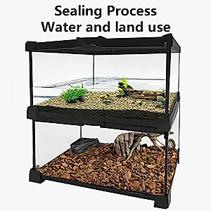 Mini Reptile Glass Terrarium Tank 7.9"x7.9"x5.7" Micro Habitat Terrarium Enclosure Amphibians Tank Cage Full View Visually Appealing for Small Reptiles, Amphibians, Spiders and Other Invertebrates