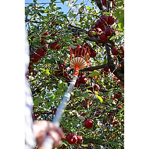 EZ Smart Extension Pole 21ft & Beyond Reach, 1 to 16 ft Extension Pole with The Option to go Beyond with Our add-a-Pole Section, Compact Segments Adjust to The Length You Need/Lightweight and Sturdy