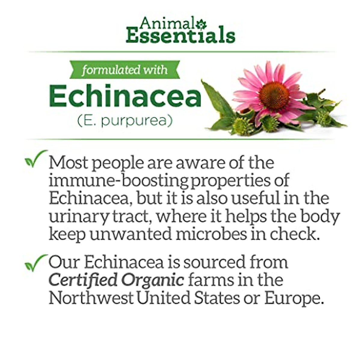 Animal Essentials Tinkle Tonic Herbal Formula for Healthy Urinary Tract in Dogs & Cats, 1 fl oz - Made in the USA, Alcohol Free