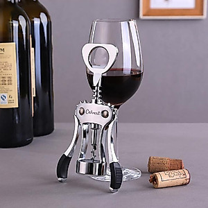 AIPNIS Personalise Wing Corkscrew,Multifunctional Wine Beer Bottle Opener,Custom Gift Corkscrew Suitable for Kitchen Castle Restaurant Bar,Wine Cork and Beer Cap Remover