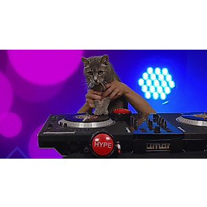 Hype Button | Hip Hop Air Horn Sound Effect Button (Batteries Included) Stocking Stuffer Back to School Classroom Teacher Office Desk Sales Marketing Gag Nut Funny Toy Class