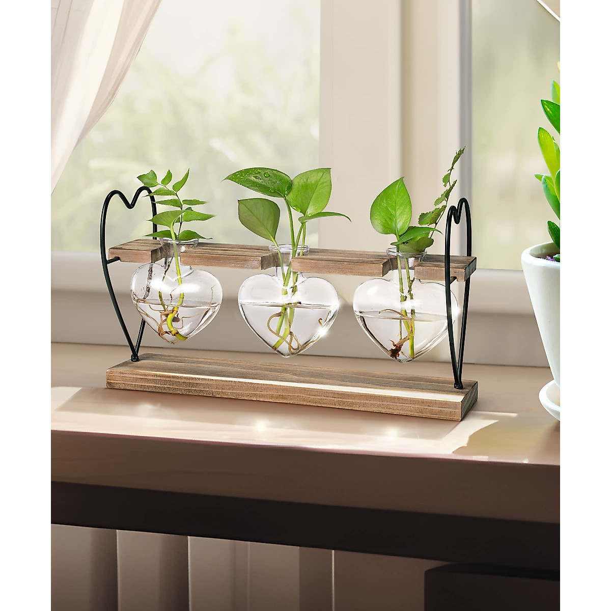 Sapowerntus Heart Propagation Stations, Cute Plant Terrarium Wooden Stand Love Glass Vase, Hydroponic Air Plants Desk Office Garden Mother Gift Decor for Women Plant Lover, 3 Heart Vase