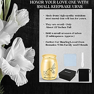 KETAN Decorative Urn for Human Ashes, Hummingbird and Hibiscus Flower Small Cremation Urns Keepsake for Adult/Pet/Male/Female Always in My Heart