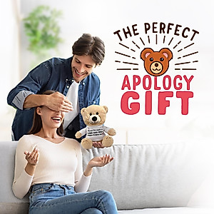 Sorry I'm An Idiot" 10" Teddy Bear with Gift Bag - Cute Funny Apology Plush for Girlfriend, Boyfriend, Best Friend