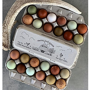 20 Egg Cartons – Adorable Printed Vintage Design Flattop Carton for your Farm Fresh Eggs, 100% Recycled & Eco-friendly Cartons, Sturdy & Reusable, Holds Small to XL Chicken Eggs