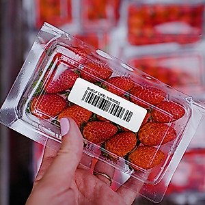 Hybsk 3x1 inch Direct Thermal Labels for Barcodes, Address, Compatible with Rollo Label Printer & Zebra Desktop Printers (3"x1",White)