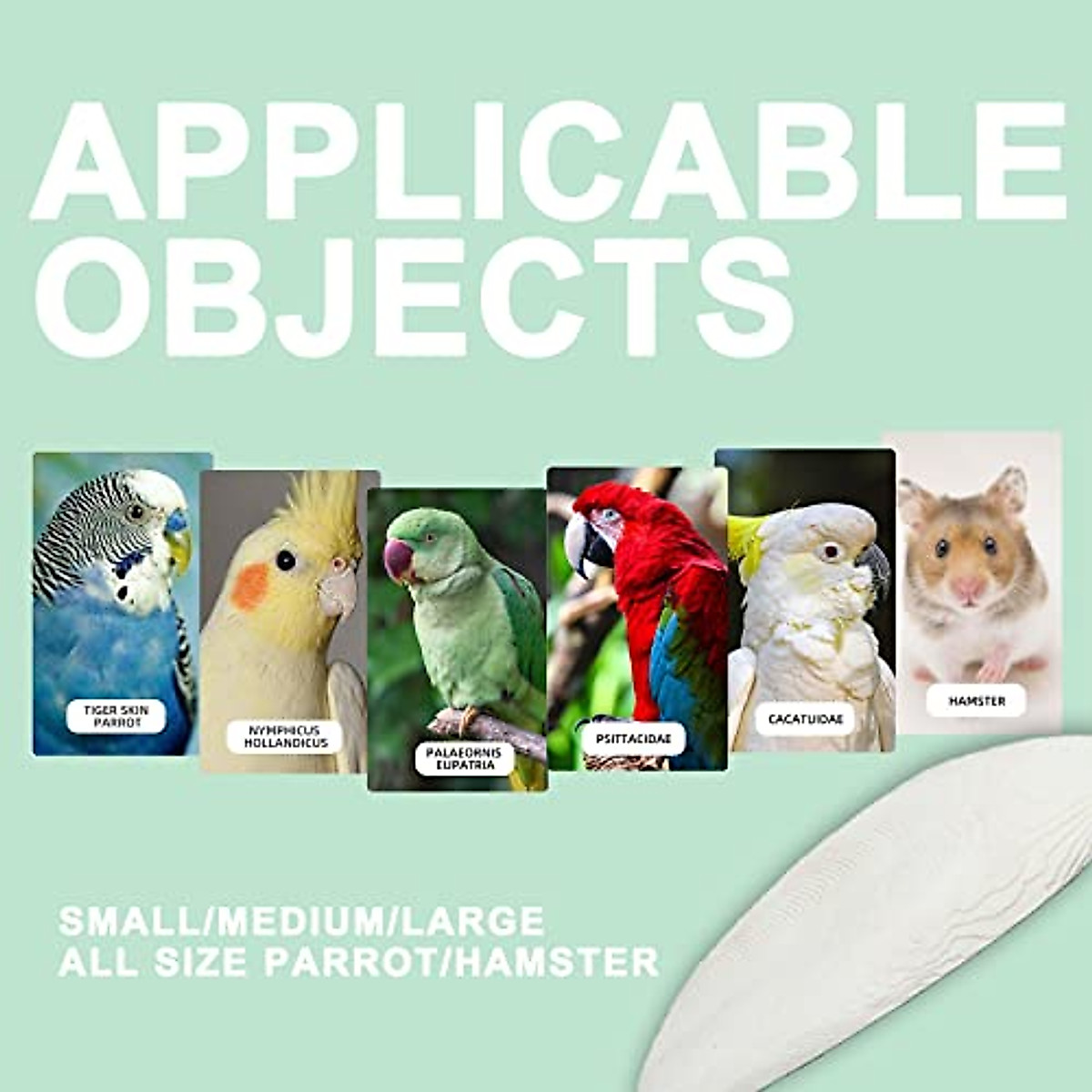 Mivofun Cuttlebone for Birds Parakeets Canaries Cockatiels Small Conures Mynahs Toucans African Greys All Parrots Snails Totoise,Natural Cuttlefish Bone with Holder for Bird Cage (4"-5"-2 Per Pack)