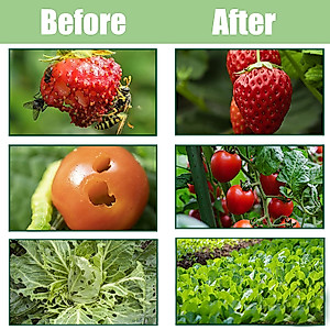 TLSTGO 2 Pack 10X33FT Garden Mesh Netting, Plant Netting for Birds and Animals Garden Netting for Raised Beds Ultra Fine Row Cover Mesh Netting for Vegetables Fruit Trees