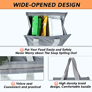 TELLUMO Lunch bag, Insulated Lunch Bag for Women Men Kids Large Lunch Box Container Reusable Leakproof Tote for Office, Work, School, Beach or Travel (Minimalist Pink)