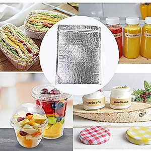 Gentle Prince Insulated Easy Zip Lock Resealable Aluminum Sandwich Bag with ice pack - Reusable Thermal Snack Bento Camping Picnic Hot & Cold Pouch (Sliver, 5)
