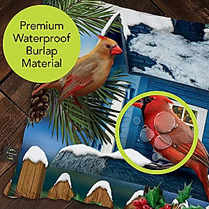 Briarwood Lane Snow Day Cardinals Winter Decorative Pillow Birdhouse Indoor Outdoor 17" x 17"