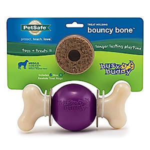 PetSafe Busy Buddy Bouncy Bone - Treat-Holding Toys for Dogs - Scented for Enhanced Sensory Stimulation - Rigorously Tested Ingredients - For Aggressive Chewers - Treat Refills Available - Purple, M/L