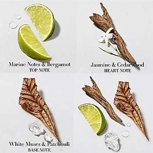 Giorgîo Armanî Acqua Di Gio Shave Balm, 3.4 Oz