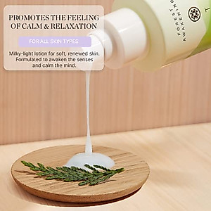 TATCHA Forest Awakening Hinoki Body Milk: Lightweight Milky Lotion to Renew Dry Skin, 132ml | 4.5 fl oz