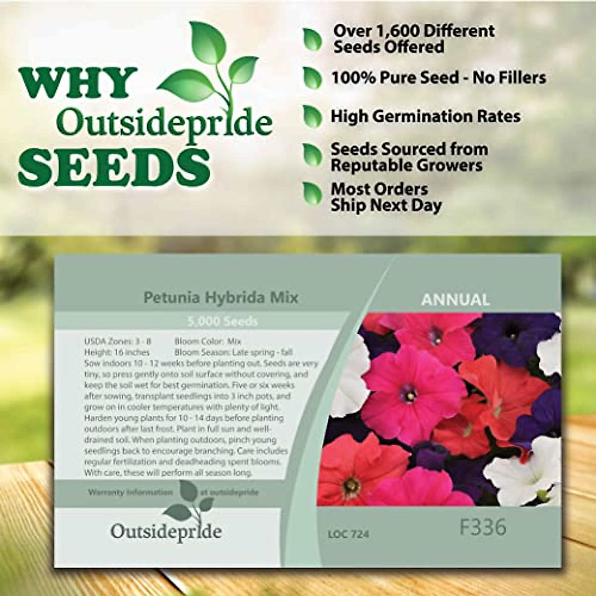 Outsidepride Petunia Hybrida Mix Indoor House Plants Or Outdoor Container, Basket, or Pot Flowers - 5000 Seeds