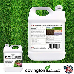 Liquid Lawn Fertilizer, 3-18-18 NPK Grass Fertilizer, Premium Lawn and Plant Nutrient Liquid Fertilizer and Food – Year Round Concentrate for Best Value – All Grass Types – 32 OZ