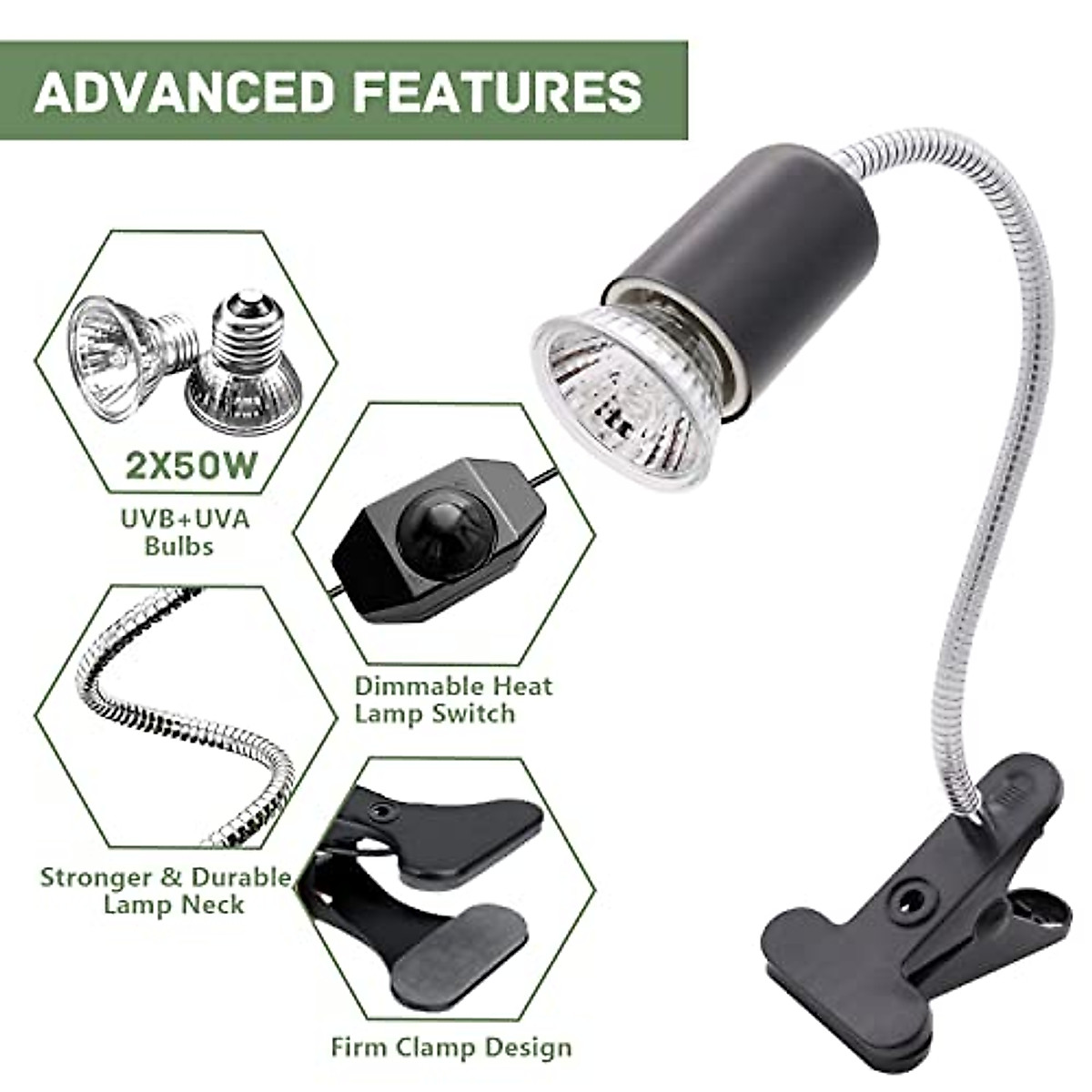 GoChes Reptile Aquarium Heating Lamp with Clamp and 360°Adjustable Holder, Dimmable Switch, Basking Heat Lamp for Reptile, Lizard, Turtle, Habitat, 2 UVA UVB Bulbs Included(E27,50W),CE Certified