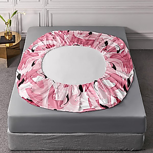 AILONEN Flamingo Fitted Sheet Twin Size, Tropical Flamingo Pattern Bed Sheets for Kids Girls Teens,Flamingo Pattern Sheet Set,Bedding Decor Set,1 Fitted Sheet and 2 Pillow Case,3 Piece