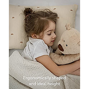 Blissful Diary Toddler Pillow with Muslin Cotton Pillowcase, 13x18 Kids Pillows for Sleeping and Traveling, Crib Pillow, Small Pillow for Kids, Toddler Bed Pillows (Rainbow)