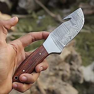 WARIVO KNIFE Hunting knife Full Tang Damascus Gut Hook Knife- EDC 8-inch Gut Hook Skinning knife for Hunting Fixed Blade Knife with Sheath Deer Gutting knives with Rosewood handle