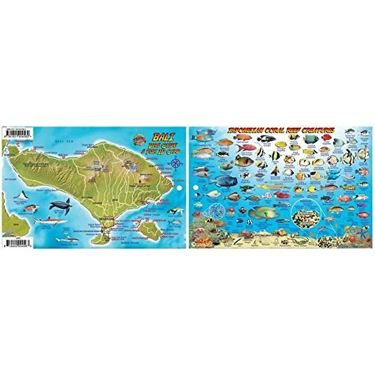 Bali Indonesia Dive Map & Coral Reef Creatures Guide Franko Maps Laminated Fish Card