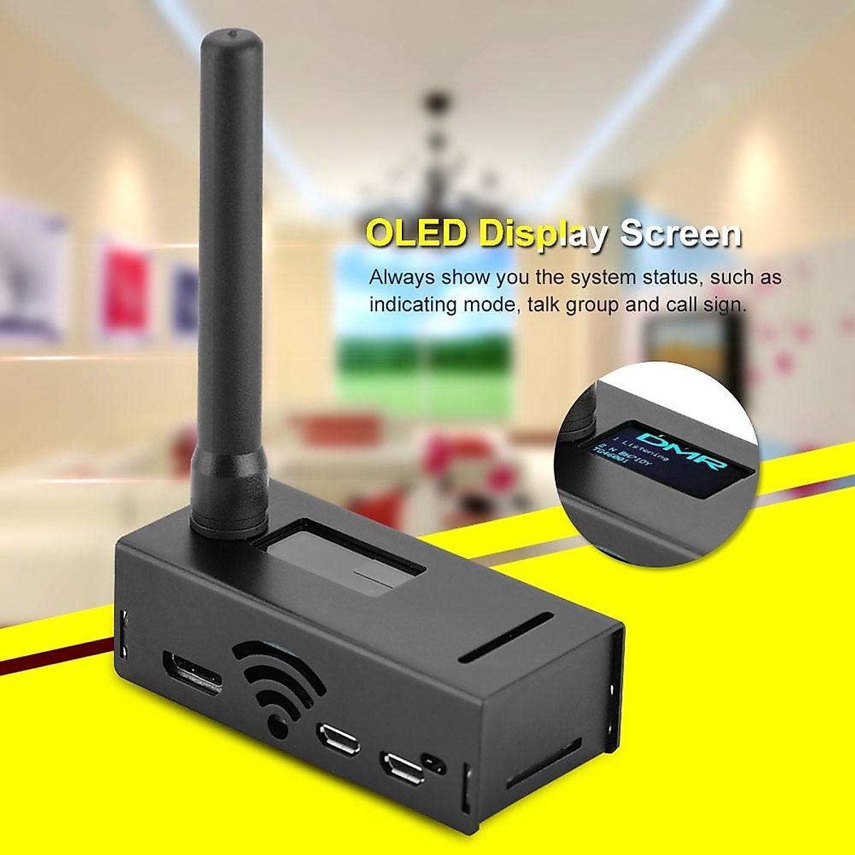 for ,Assembled DMR with Detachable + Built-in ,Plug and Play,for Extended Board