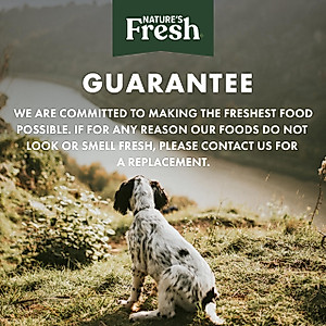FRESHPET Beef Garden Vegetables Grains 5Lb Dog Food, 80 OZ