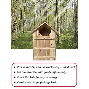 Sundia Screech Saw Whet Owl Kestrel Flicker Barn Large Big Bird Nesting Wooden Box Resident Habitant House (D100)