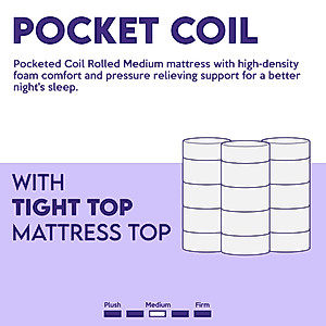 Treaton Pressure Relieving & Cooling High Density Foam Queen Mattress - 9-inch Water Proof Vinyl Medium Firm Tight Top Pocketed Coil Rolled Hybrid Mattres with 8” Wood Box Spring, Bed in Box, Green