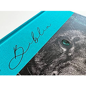 Biblia RVR 1960 letra grande, tamaño manual, tapa dura de tela León aguamarina / Spanish Bible RVR 1960 Handy Size Large Print Hardcover Cloth Lion Aquamari