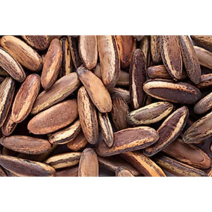 Red Flame Flamboyant Tree Seeds Royal Poinciana Delonix Regia U.S. Seller (10 Seeds)