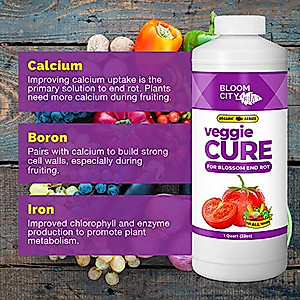 Veggie Cure by Bloom City, Blossom End Rot Solved for All Garden Plants & Vegetables (32 oz)