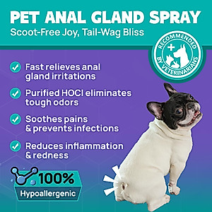 HICC PET Dog Anal Gland Spray - Fast Relieves Anal Gland Irritations and Soothes Itching, Stops Scooting, Eliminates Tough Odors, Pain Relieving & Anti-Itch, Safe for All Animals - 4 Fl Oz