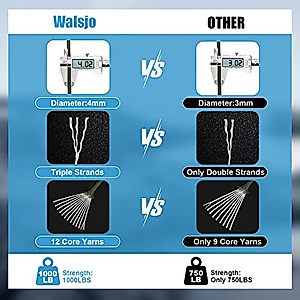 1000Ib Paracord/Parachute Cord - 12 Strand Paracord Rope - 100ft 250ft 500ft 1000ft 4mm, para Cord Lanyard for Camping, Hammock, Clothsline, Hiking and Surviva (Green, 100ft)