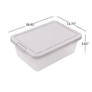 Teyyvn 14 L Clear Storage Box, 2-Pack Plastic Storage Bin with Gray Lid