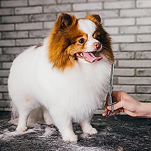 Pets vv Dog Grooming Scissors Kit with Safety Round Tips, Stainless Steel 5 in 1 Dog Grooming Supplies Shears Tools Comb Set, Professional Pet Grooming Scissors Thinning Curved Shears for Dogs & Cats