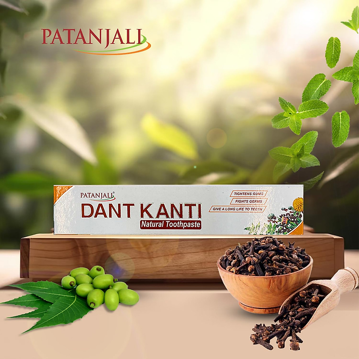 Patanjali Dant Kanti Natural Toothpaste 100gm / 3.38 fl oz - (Pack of 10)