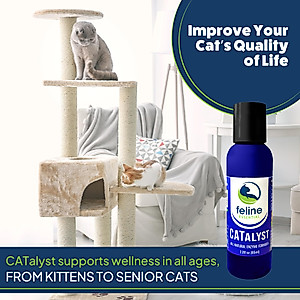 Feline Essential Catalyst Antioxidant Enzyme Formula for Cats - Cat Digestive Enzyme - Digestive Enzymes for Cats - Cat Digestive Support - Feline Catalyst Liquid Pancreatic Enzyme Supplements Cats