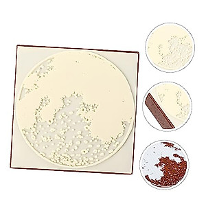 TEHAUX Lunar Wooden Seal Plant Kits for Wood Decor Plant Decorations Botanical Decor Rubber Alphabet Stamps for Rubber Stamps for Crafting Stamps Kit Hand Account Stamps