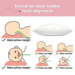 2-Pack Soft Organic Cotton Pillows for Sleeping - 13X18 Small Toddler Kids Pillow for Travel, School, Nap, Age 2 to 5 (Soft White)