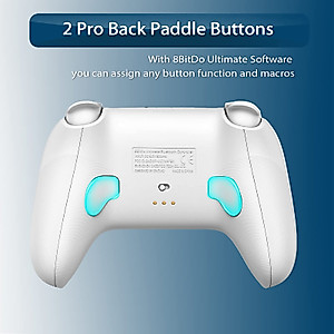 8BitDo Ultimate Bluetooth Controller with Charging Dock, Wireless Gamepad with Hall Sensor Joystick, Compatible with Switch, Steam Deck and Window 10