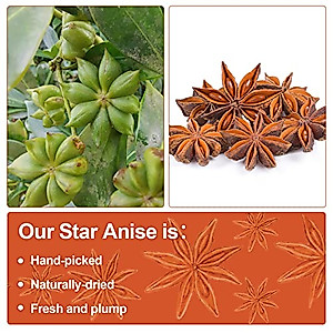 Sun I’farm Organic Star Anise, Chinese Star Anise Whole 3oz(85g), Fresh, Pure and Dried Anise Pods, Great for Cooking, Baking and Tea (3 ounce)