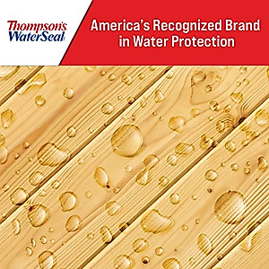 Thompson’s WaterSeal Multi-Surface Waterproofer Stain, Clear, 12 oz Aerosol Can