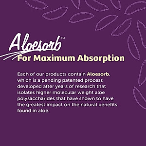 Lily Of The Desert Natural Hold Aloe Vera Hair Spray for All - Unscented, Alcohol-Free, Non-Aerosol, 8 Fl Oz